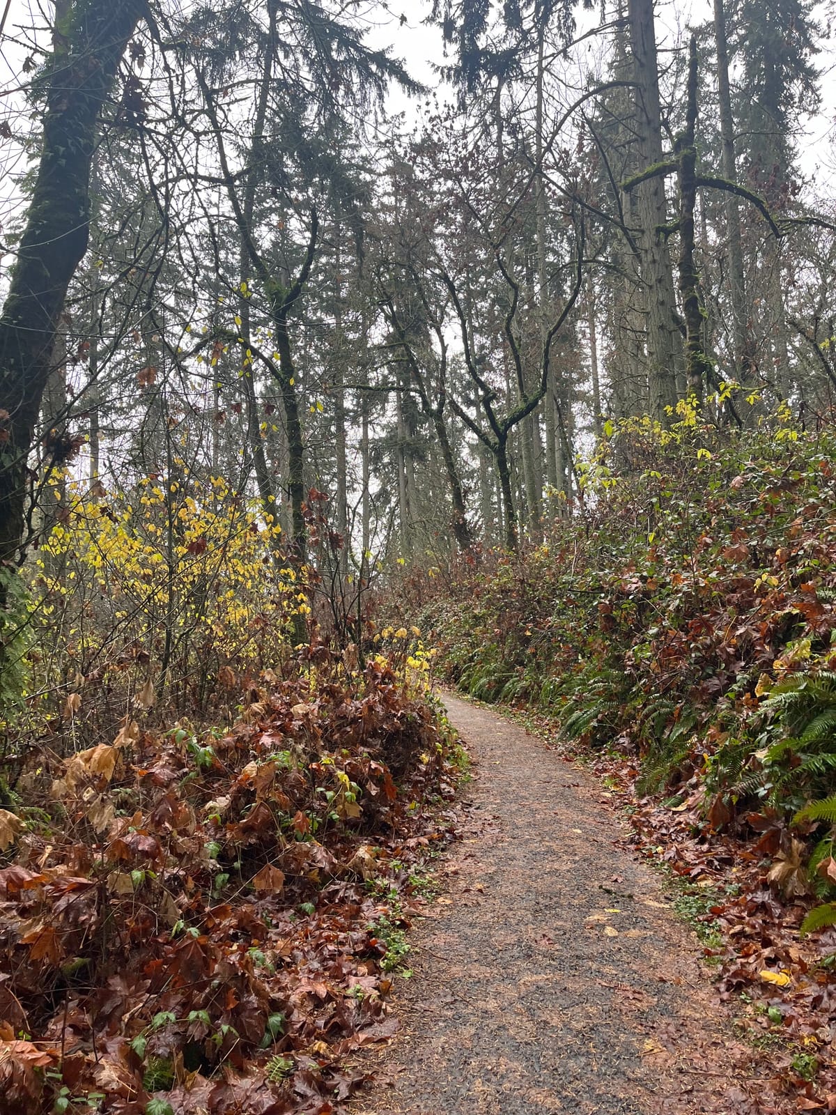 How to talk about the Bitcoin reserve dumb idea